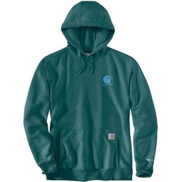 Carhartt Force Logo Graphic, Kapuzenpullover