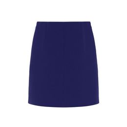 Jimmy Sanders Skirt female Blue size XL