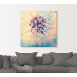 Artland Wandbild &raquo;Pusteblume ganz nah&laquo; Blumen 1 Stk. tlg. als Alubild, Leinwandbild, Poster in verschied. Gr&ouml;&szlig;en blau
