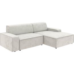 Trendmanufaktur Ecksofa &raquo;Graz, wahlweise mit Sitzvorschub und Bettkasten, L-Form, Breite 246 cm&laquo; in Cord-, haustierfreundlichem LEO Struktur- oder 