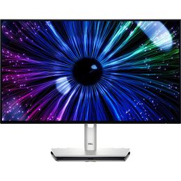 Bildschirm 24" LED FHD Dell U2424HE
