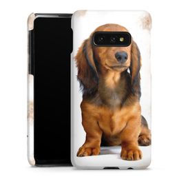 DeinDesign Galaxy S10e Handy Premium Case Smartphone Handyh&uuml;lle Schutzh&uuml;lle matt Pet Dachshund Dog Premium Case