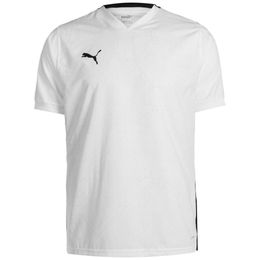 Puma Funktionsshirt 'Team Cup' Herren Gr&ouml;&szlig;e XXXL grau / schwarz / wei&szlig;