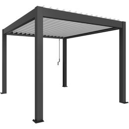 Pergola BioHort "3x3,5, verschiedene Farben", dunkelgrau, metallic, B:312cm H:264cm T:367,5cm, Pergolen, ausgezeichnet mit dem Red Dot Design Award