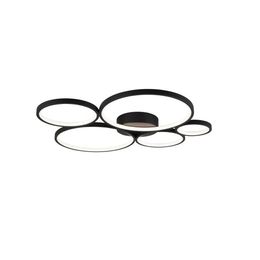 Trio LED Deckenleuchte RONDO