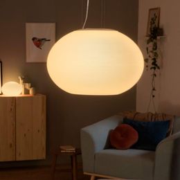 PHILIPS Hue White & Color Ambiance Flourish Pendelleuchte, LED, 8719514343528,