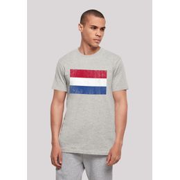 F4NT4STIC Damen T-Shirt "Niederlande Holland Flagge distressed", grau, Gr. M, Obermaterial: 100% Baumwolle, Shirts, Print