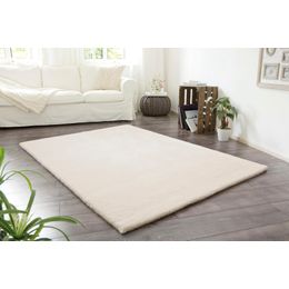 Wollteppich OTTO HOME, B:170cm H:28mm L:240cm, beige, Wolle, Wohnzimmer, Teppiche, "Punam, handgekn&uuml;pft", echter Berber aus Marokko, einfarbig, reine