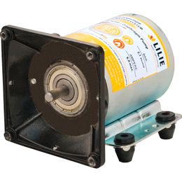 Lilie Motor Ersatzantrieb 12,9 cm H&ouml;he passend f&uuml;r LP4121 Membran Wasserpumpe - Wasserversorgung Ersatzteile und Zubeh&ouml;r