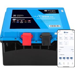 Berger LiFePO4 Lithium Untersitz Batterie Pro 300 Ah 12V mit Bluetooth & Heizung - Fahrzeug-Batterien