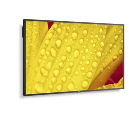 NEC MultiSync M651-2 Digital Signage Display 163,9 cm 65 Zoll