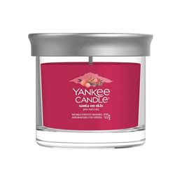 yankee candle Duftkerze ''Santa on Skis'' - 122 g - 11% | Kerzen-vasen