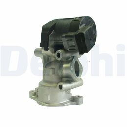 DELPHI AGR-Ventil 12V f&uuml;r PEUGEOT FIAT CITRO&Euml;N FORD LANCIA VOLVO 9681825280 9655612380 1231964 EG10396-12B1