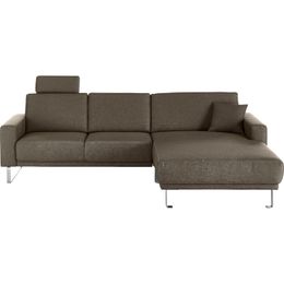 Home Affaire Ecksofa &raquo;Apiro bequem & edel, Breite 278cm, Komfortsitzh&ouml;he, L-Form&laquo; braun