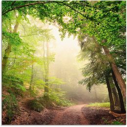 Artland Glasbild &raquo;Nat&uuml;rliche Torb&ouml;gen durch B&auml;ume&laquo; Wald 1 Stk. tlg. in verschiedenen Gr&ouml;&szlig;en gr&uuml;n Glas