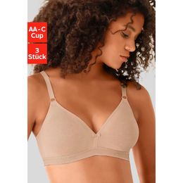 Petite Fleur Damen Petite Fleur Bralette-BH Packung, 3 St&uuml;ck, ohne B&uuml;gel im Triangel-Schnitt aus Baumwolle, Basic Dessous bunt 80, Cup C