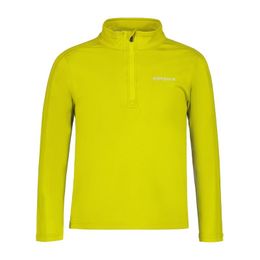Icepeak Kinder Fleecepullover &raquo;Icepeak FLEMINTON JR&laquo;, 1 Stk. f&uuml;r Kinder und Jugendliche, sportlicher Stil, mit Rei&szlig;verschluss gr&uuml;n 140