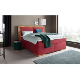 Boxspringbett Home Affaire "Cup", rot (bordeaux), B:190cm L:206cm, Bezug: Luxus-Microfaser (100% Polyester);Bezug: Microfaser (100% Polyester), Komplettbetten, Boxspringbett, mit Massivholzrahmen, mit Topper, in 2 H&auml;rtegraden, in 3 Breiten