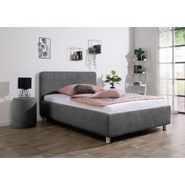 Polsterbett Maintal "Wiesenblick, in Samt &Struktur erh&auml;ltlich", grau (anthrazit), B:150cm H:101cm L:208cm, Betten, Polsterbett, mit Bettkasten, wahlweise in H2,H3 oder H4