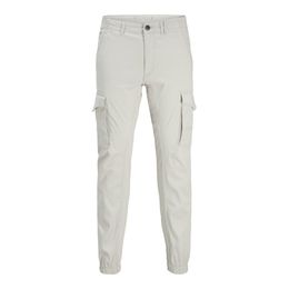 Jack & Jones Jack & Jones Cargo Pants 'JJIPAUL JJFLAKE' male Grey size 28