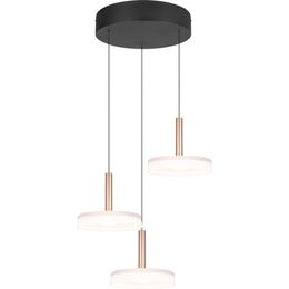 Trio LEUCHTEN LED Pendelleuchte "CELESTE dimmbare LED H&auml;ngelampe aus Metall und Glas, 7,5W, 750 Lumen", braun (coffee), 3, &Oslash; 35cm H: 200cm, 1 Stk., Leuchten, 3-flammig einfach h&ouml;henverstellbar von 50-200 cm 3-Stufen Dimmfunktion, LED Pendelleuchte