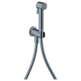Hansgrohe AXOR Bidette Showers Bidette Handbrause 1jet EcoSmart, rund, f&uuml;r Kaltwasser, mit Brausehalter und Brauseschlauch 1,25m, 29240330, Farbe: Polished Black Chrome