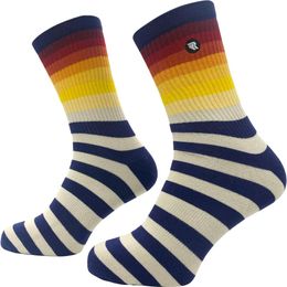 Riding Culture Rainbow LT, Socken Unisex