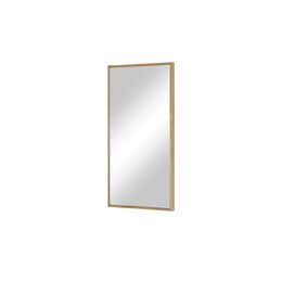 M&ouml;bel Kraft Spiegel 43 x 82 cm holzfarben Glas,Aluminium Ma&szlig;e (cm): B: 43 H: 82 T: 4.0 &raquo; M&ouml;bel Kraft