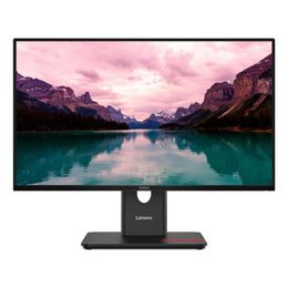 Lenovo ThinkVision T24-40 Full HD IPS Display 60,5 cm (23.8")