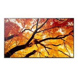 Sharp MultiSync M502 Digital Signage Display 125,7 cm 50 Zoll