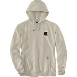 Carhartt Force Logo Graphic, Kapuzenpullover