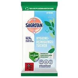 SAGROTAN Anti-Bakterielle Reinigungst&uuml;cher Packung mit 60 St&uuml;ck