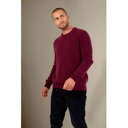Perfect Cashmere Kaschmir-Pullover "Eden" in Beere - 65% | Gr&ouml;&szlig;e S | Herren-plussize