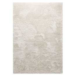 Homie Living Hochflor-Teppich "Matteo" in Beige - 66% | Gr&ouml;&szlig;e 160x225 cm |