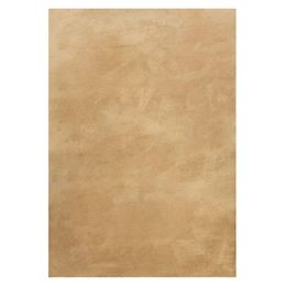 Wecon Home Hochflor-Teppich "Basics Anna" in Beige - 57% | Gr&ouml;&szlig;e 200x290 cm |