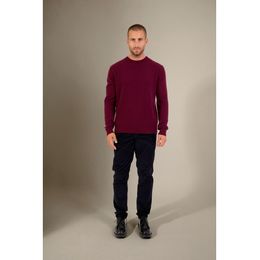 Perfect Cashmere Kaschmir-Pullover "Blake" in Beere - 65% | Gr&ouml;&szlig;e S | Herren-plussize