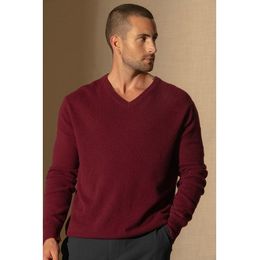 Perfect Cashmere Kaschmir-Pullover "Alexander" in Bordeaux - 62% | Gr&ouml;&szlig;e M | Herren-plussize