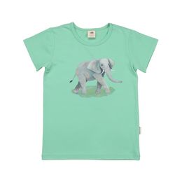 Walkiddy Shirt in Gr&uuml;n - 26% | Gr&ouml;&szlig;e 146 | Kinder-oberteile