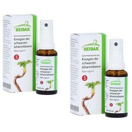 GEMMO-MAZERAT Ribes nigrum Spray Set 2 St