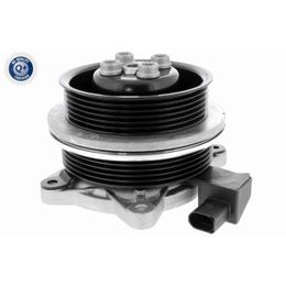 VAICO Wasserpumpe Q+, Erstausr&uuml;sterqualit&auml;t f&uuml;r SKODA VW SEAT AUDI VAG 03C121004F 1K0965537 03C121004G V10-50065
