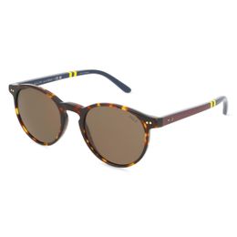 Polo Ralph Lauren 0PH4236 | Herren-Sonnenbrille | Fassung: Vollrand, Rund, Acetat, Havanna Gl&auml;nzend | Glasfarbe: Braun