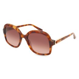 Sandro SA6074 | Damen-Sonnenbrille | Fassung: Vollrand, Quadratisch, Acetat, Braun | Glasfarbe: Braun Verlaufend