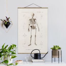 Bilderwelten Stoffbild mit Posterleisten Vintage Schautafel - Skelett