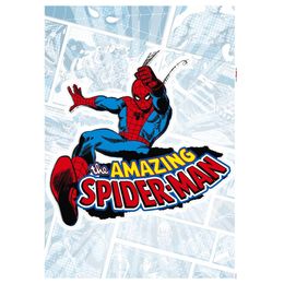 Wandtattoo SpiderMan Comic Classic - Wandsticker Wandaufkleber Wandklebebilder S bis XXL