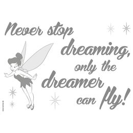 Wandtattoo Kinderzimmer Disney Never stop dreaming
