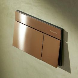 Hansgrohe iFrame Element E Dr&uuml;ckerplatte f&uuml;r Toilette, 66003140,