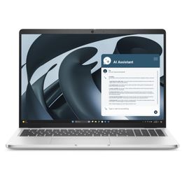 Dell Pro 16 Plus PB16255 AMD Ryzen&trade; 5 PRO 230 Notebook 40,6 cm (16")