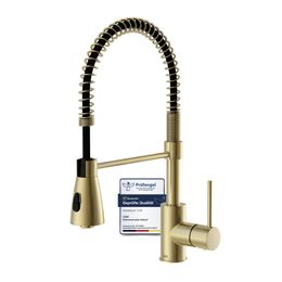 Lenz K&uuml;chenarmatur 'Kalani&sup2;' gold-matt mit Pendelbrause