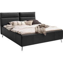 Polsterbett Home Affaire "Cozy Town", schwarz, B:186cm H:108cm L:236cm, 100% Leder, Betten, Polsterbett, inkl. 7-fache Einlegetiefenverstellung & saugroboterfreundliche H&ouml;he