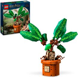 Lego Kinder Konstruktionsspielsteine "Zaubertrankpflanze: Alraune (76433), Lego Harry Potter ", bunt, Kunststoff, Spielbausteine, Made in Europe